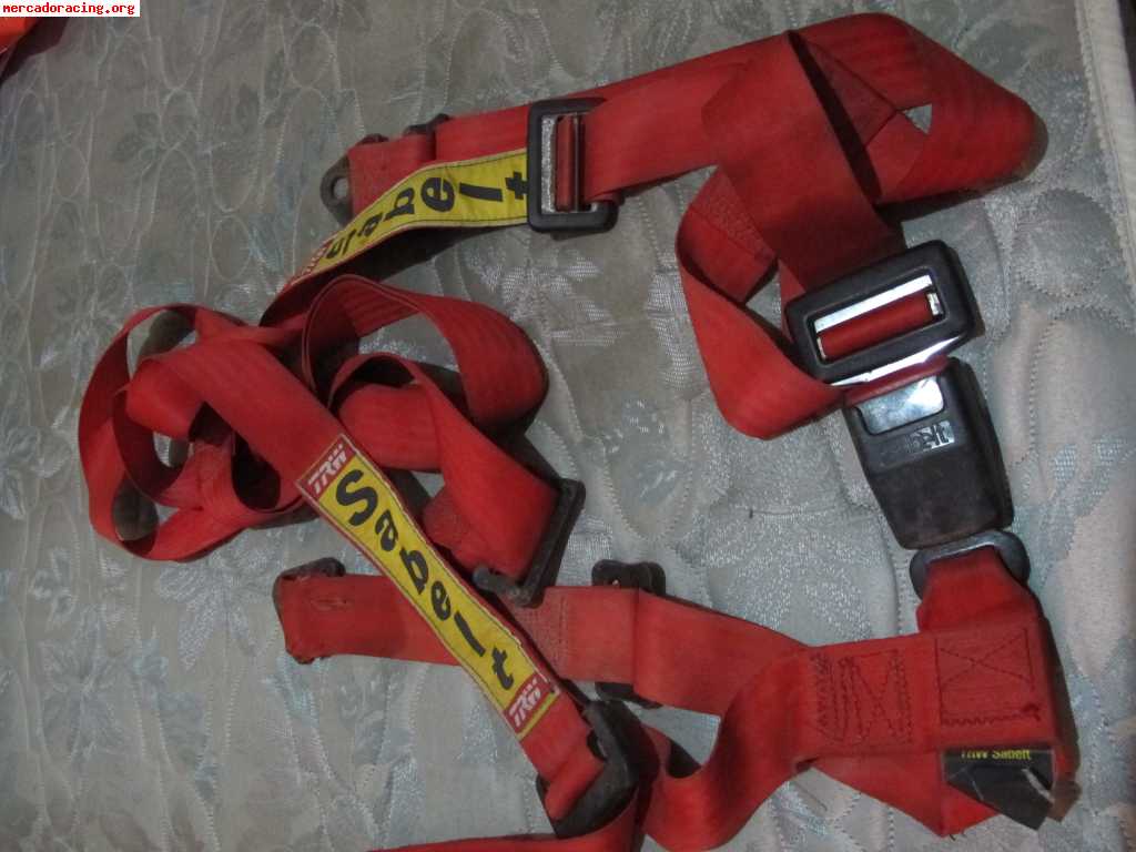 arnes trw sabelt torino