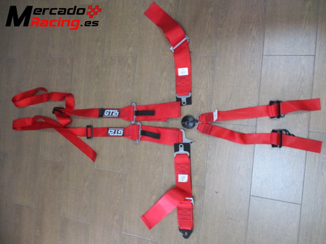 VENDO ARNES GT2I ESTRECHO HASTA 2021