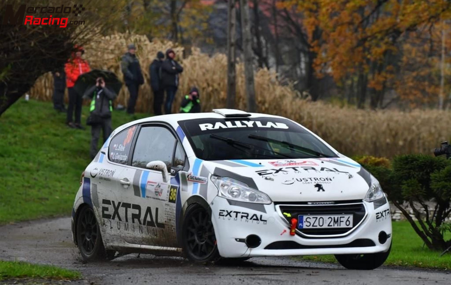 Peugeot 208 R2