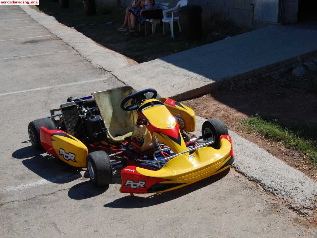 Se Vende Kart PCR coon motor nuevo Rotax max