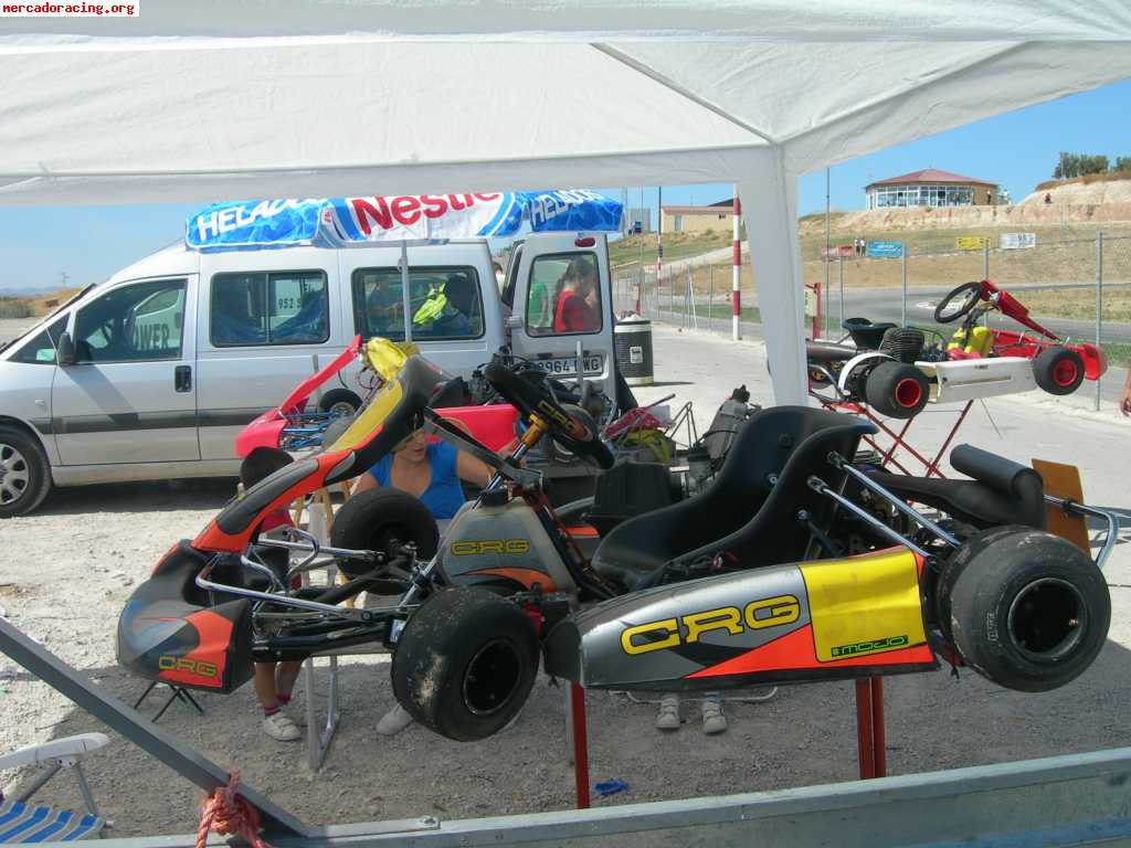 CRG road rebel 2008 Rotax max fr 125