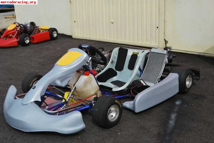 Se vende kart con motor Iame Leopard recien revisado