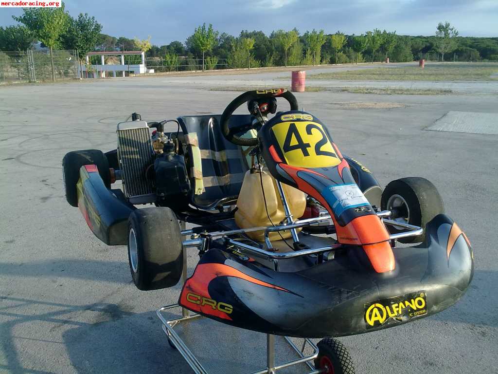 VENDO KART CRG ROTAX 125 AUTOMÁTICO