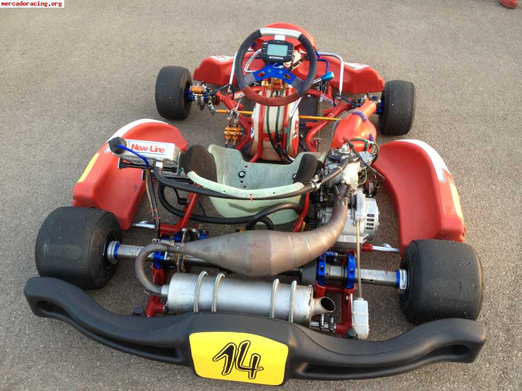 Kart Birel 2009 R32 con k9B preparado!!