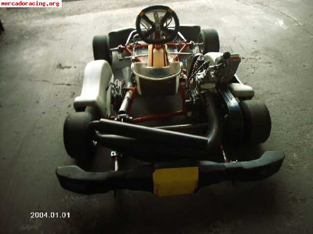 rotax mini-max