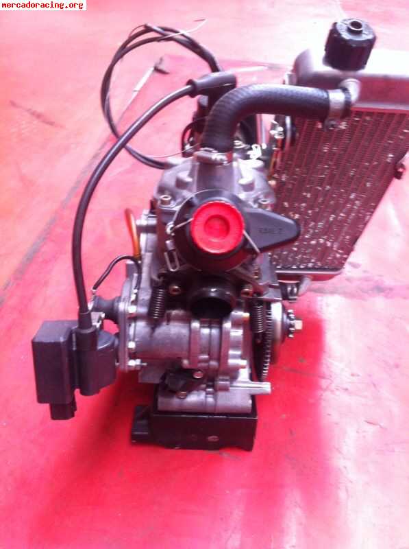 Motor Rotax Max