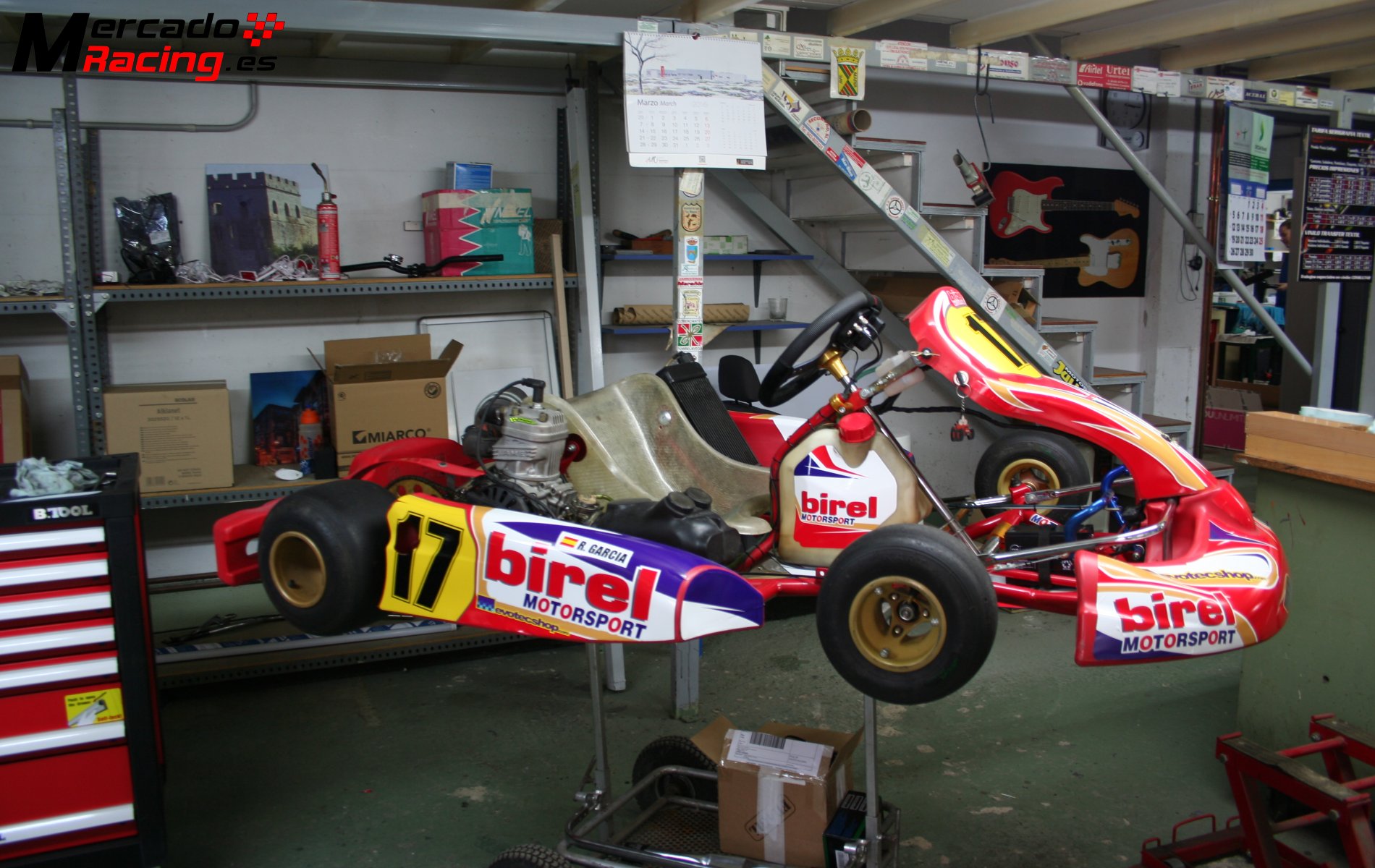 Birel - X30