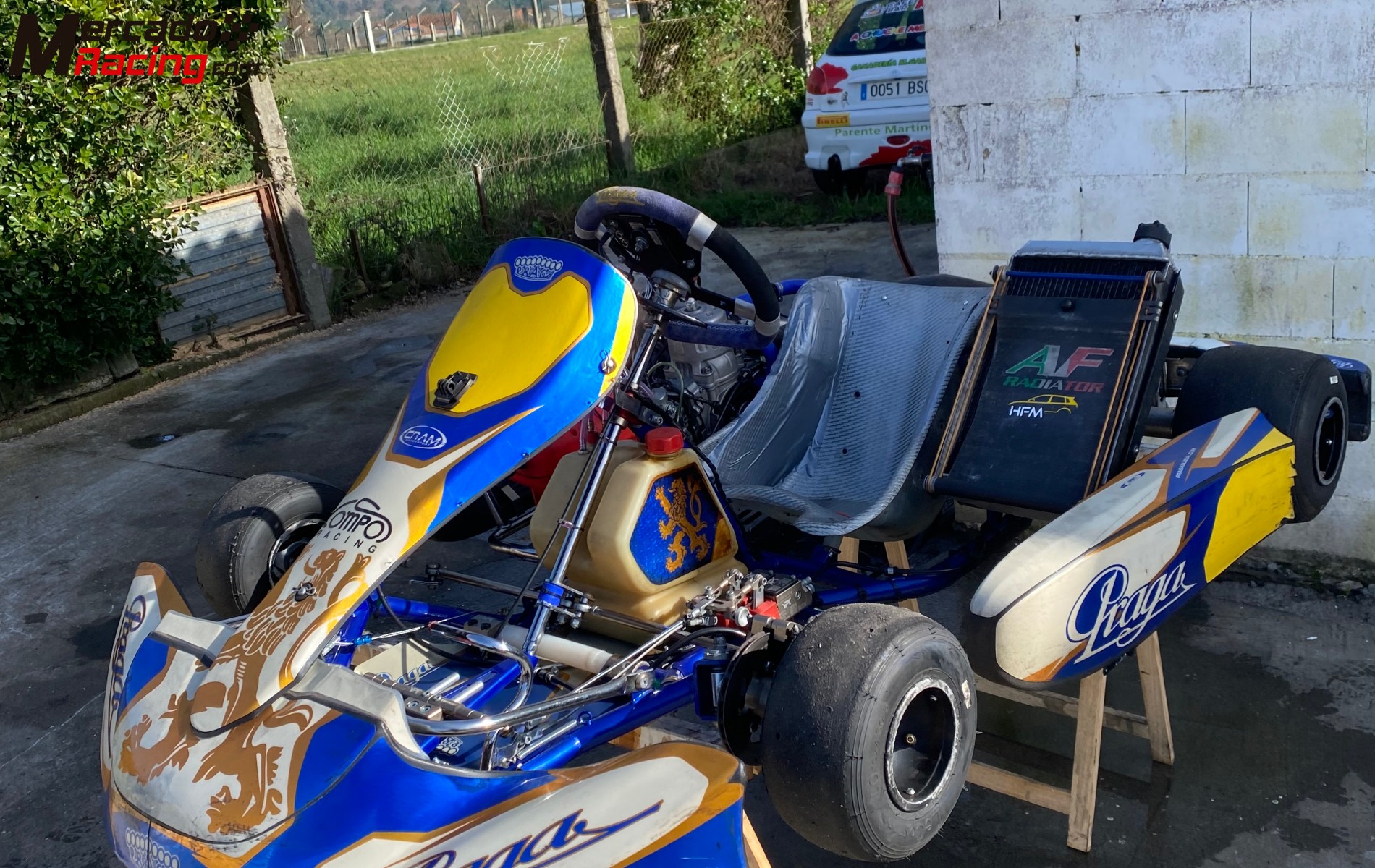 kart kz praga dragon evo 2019