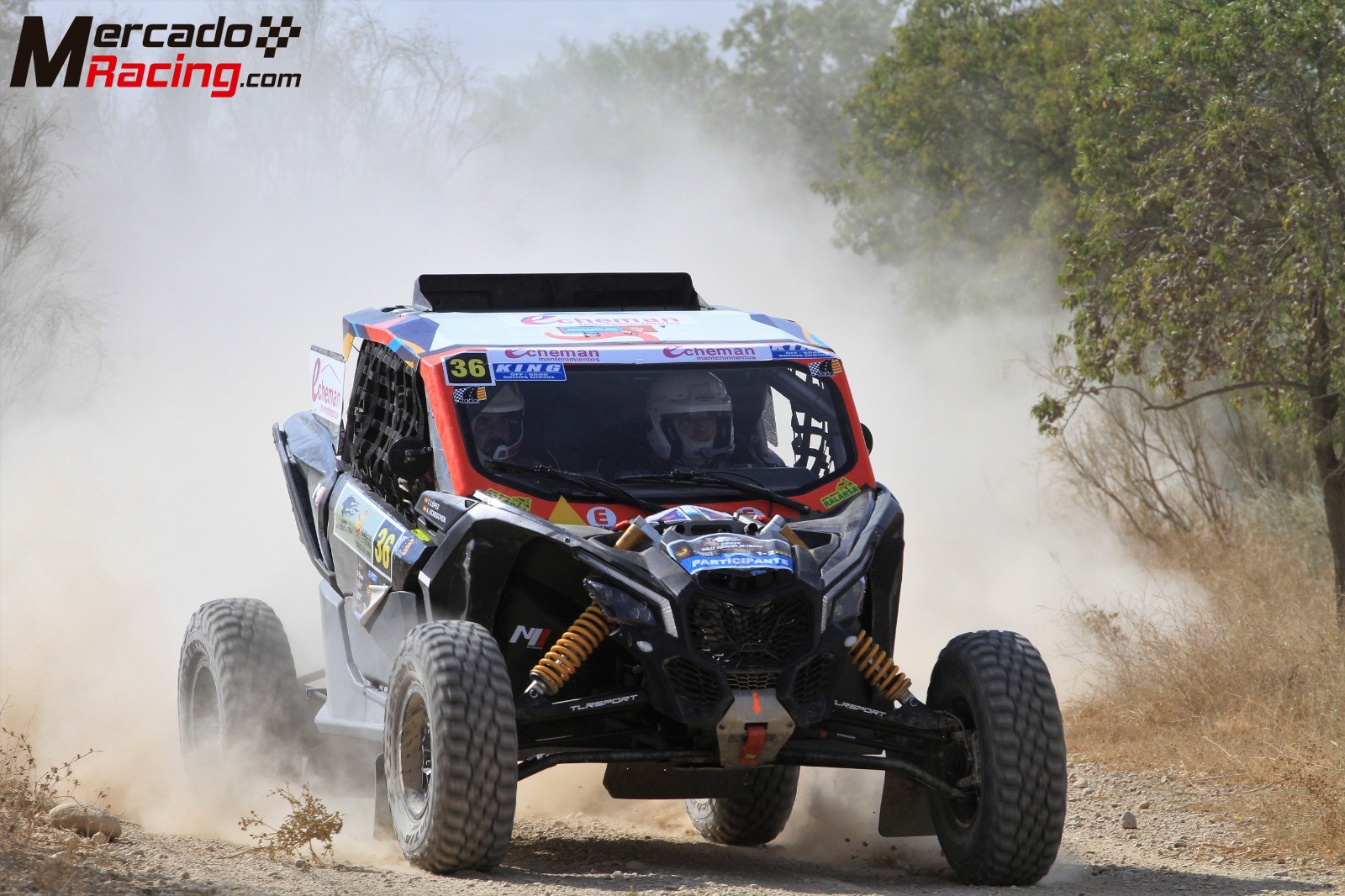 South Racing T4 chasis nuevo