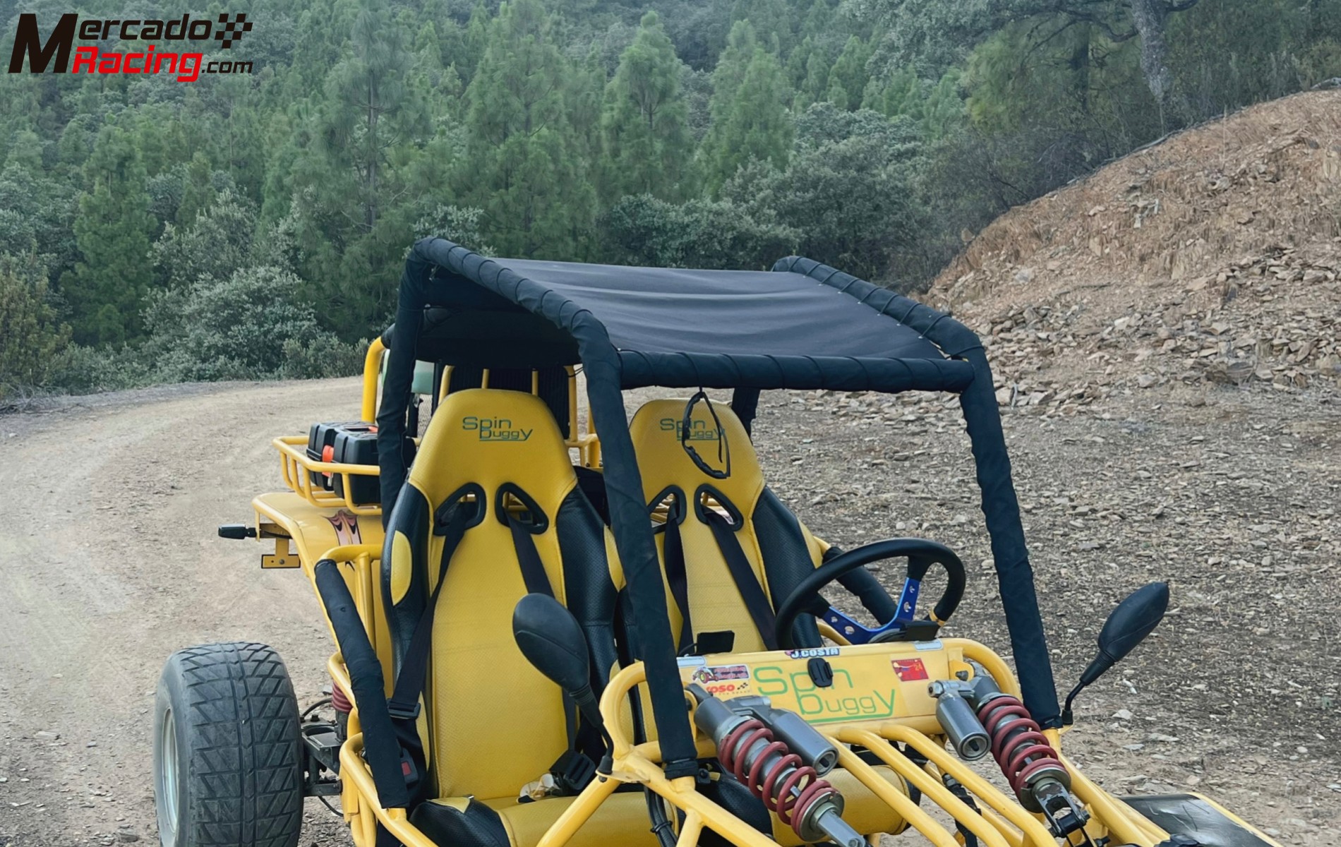 Buggy gsmoon 260cc