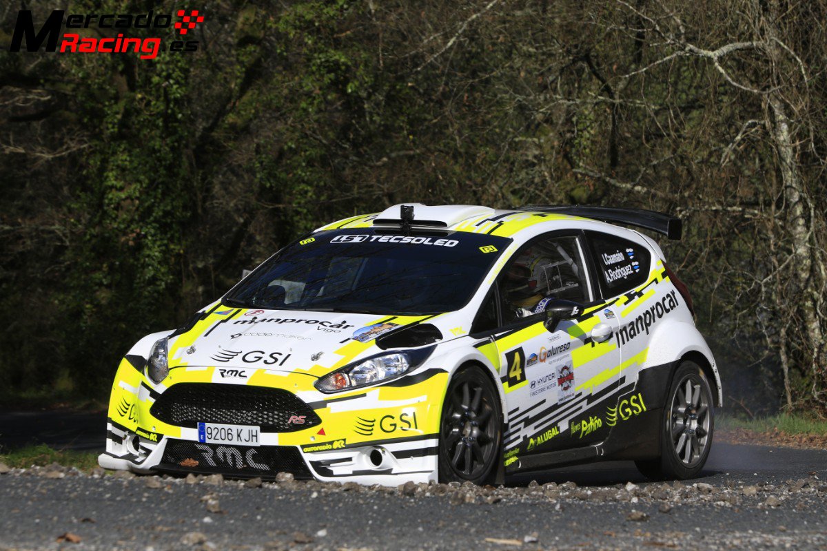 Ford Fiesta R5 Evo 2 #207