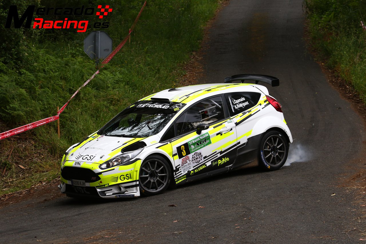 Ford Fiesta R5 Evo 2 #207